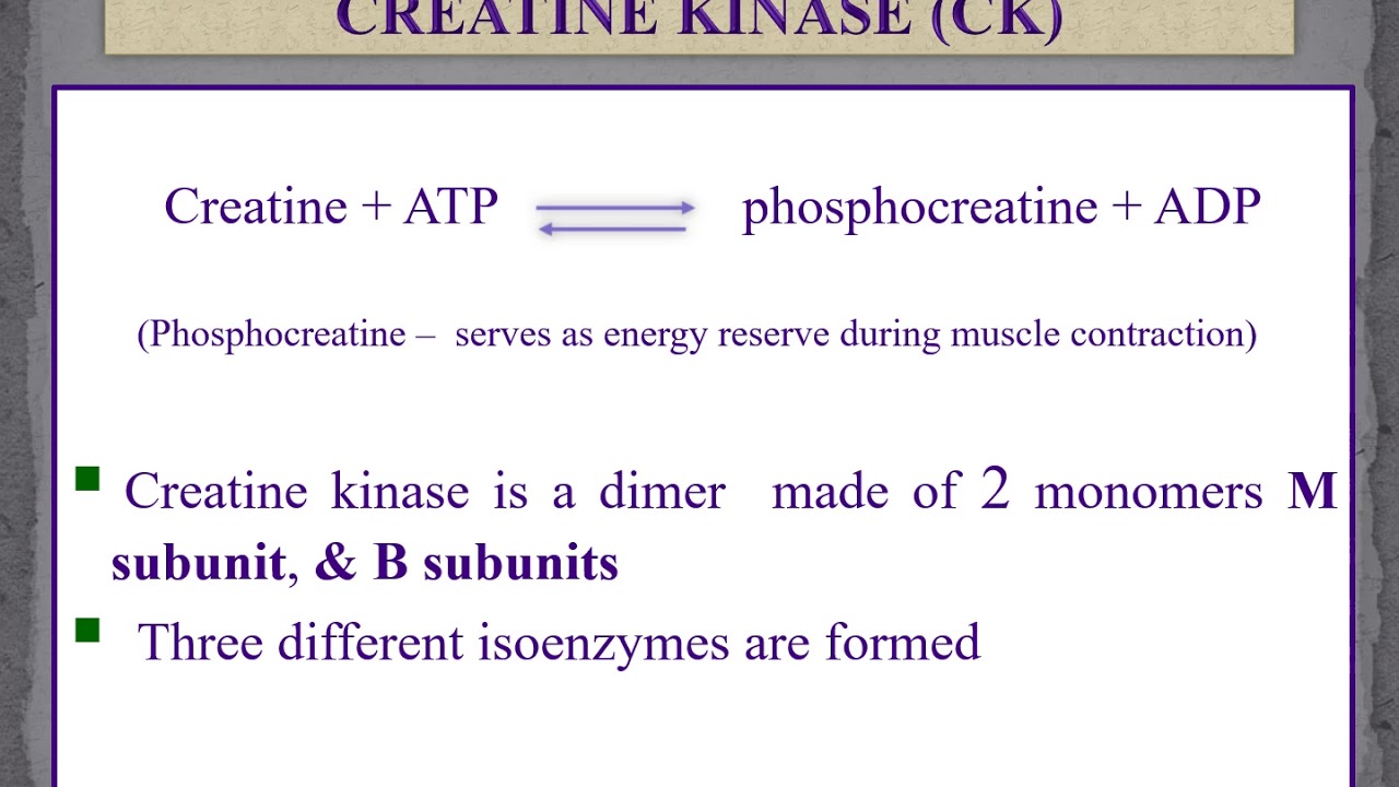 enzyme introduction part 2 - YouTube