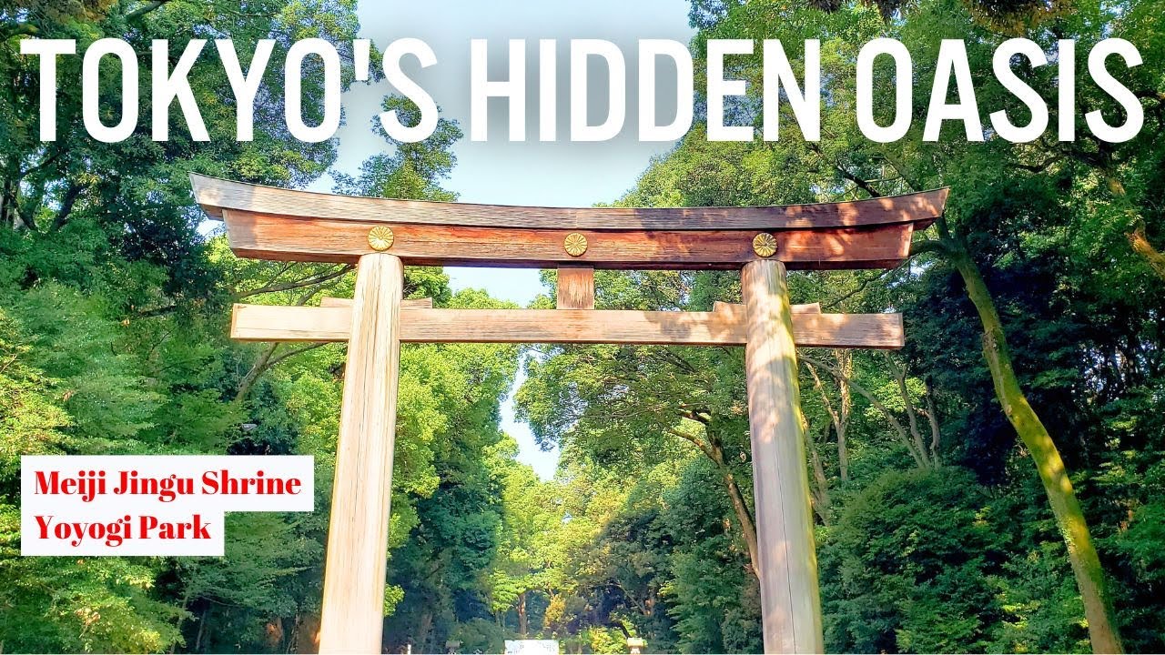 Tokyo’s Best Nature Walk: Meiji Jingu Shrine & Yoyogi Park Hidden ...