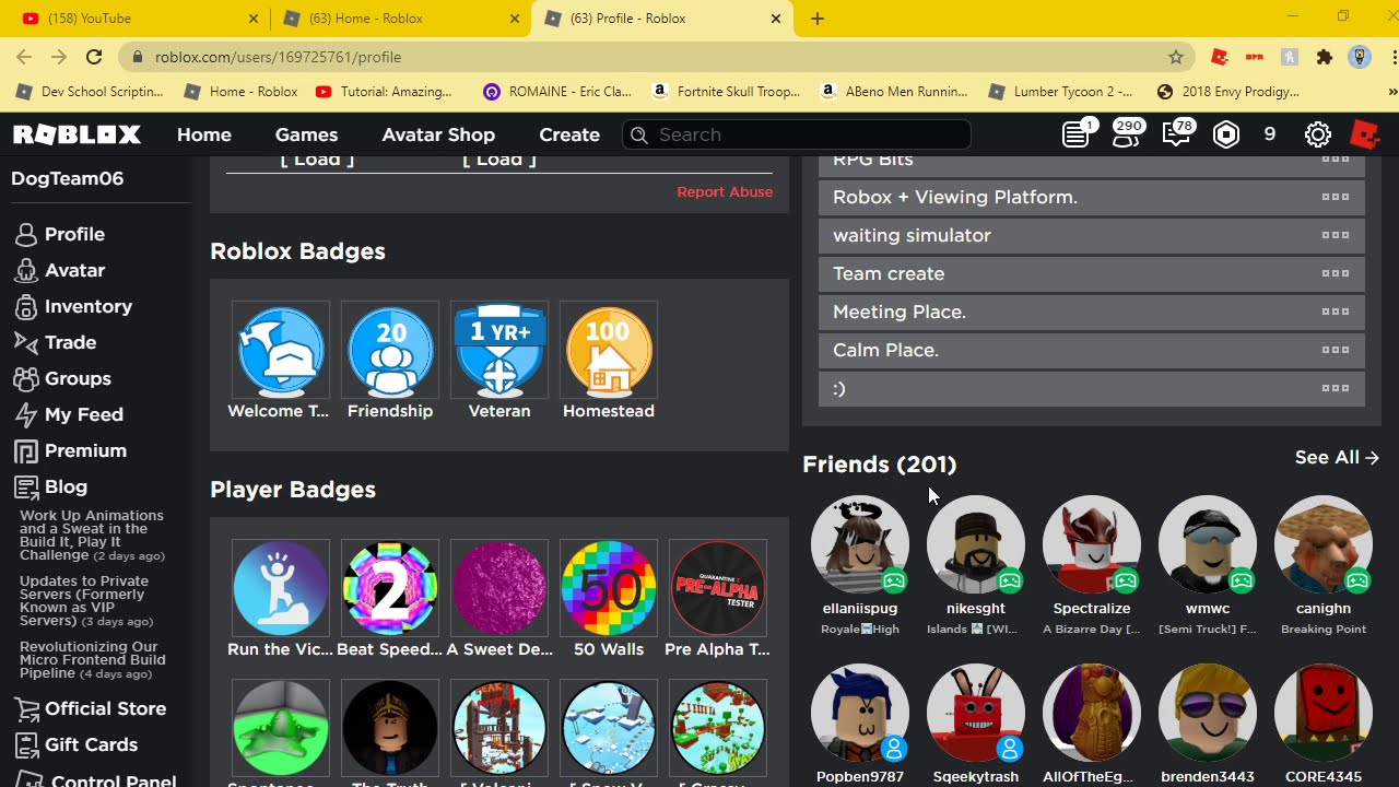 Bruh i got more than 200 friends on roblox - YouTube