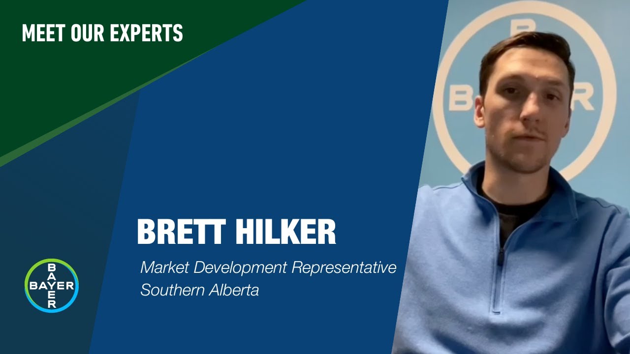 Pulse Fungicides: We've Made the Best Even Better with Delaro Complete ...