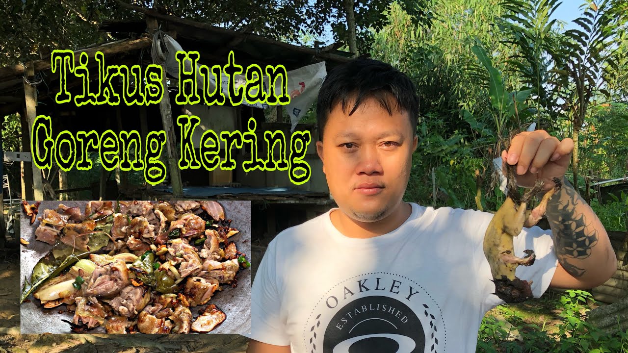 Tikus Hutan Goreng Kering Lauk Tengahari,Chef Borneo. - YouTube