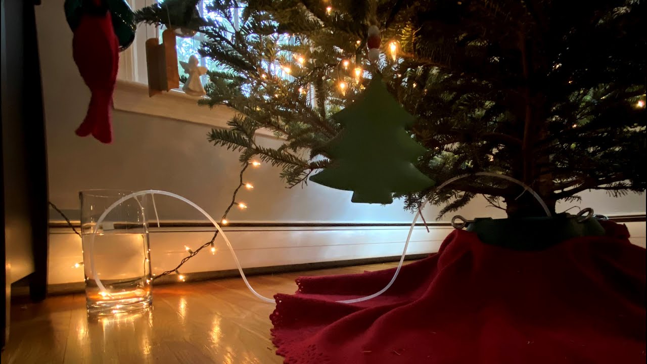 Christmas tree watering siphon - YouTube