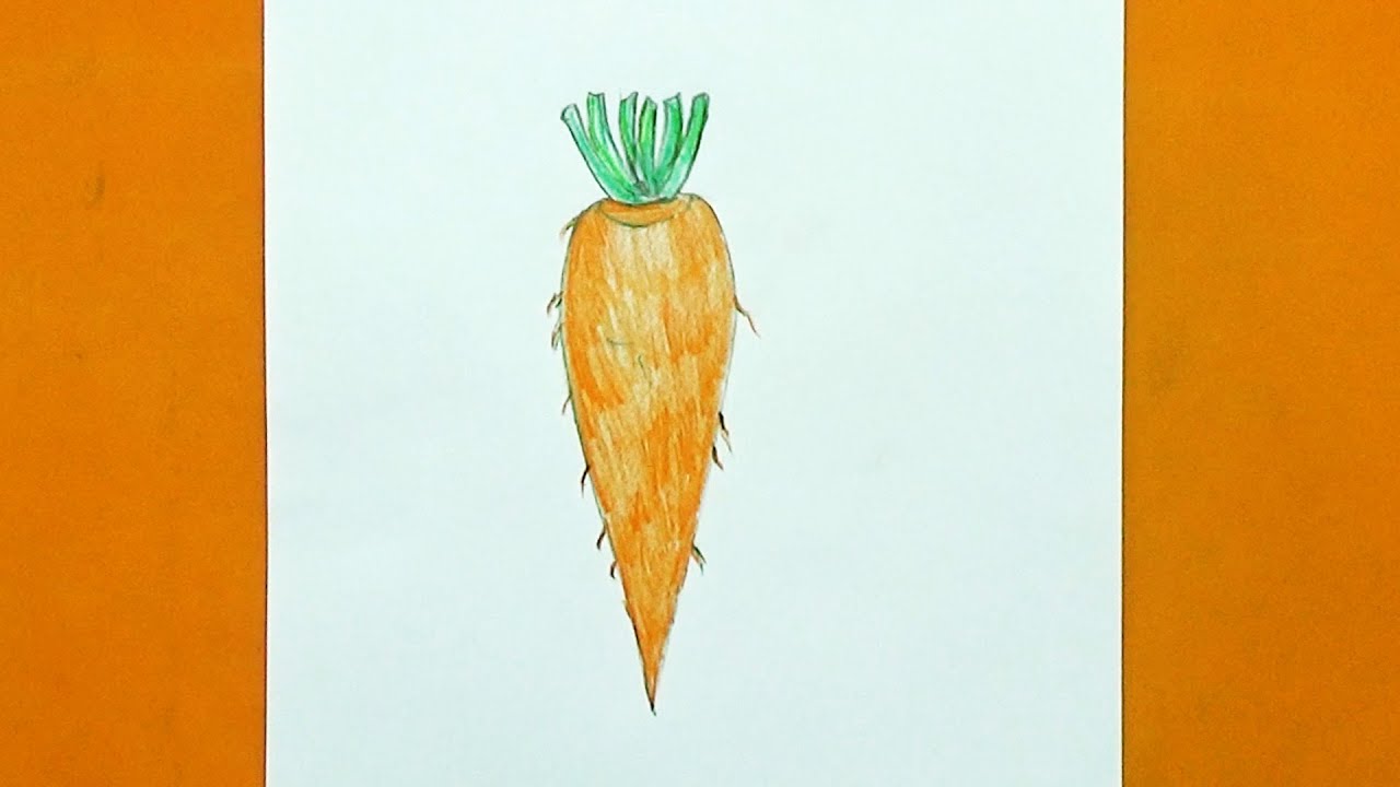 How to Draw a Carrot Step by Step | Carrot Drawing Step by Step Draw in ...