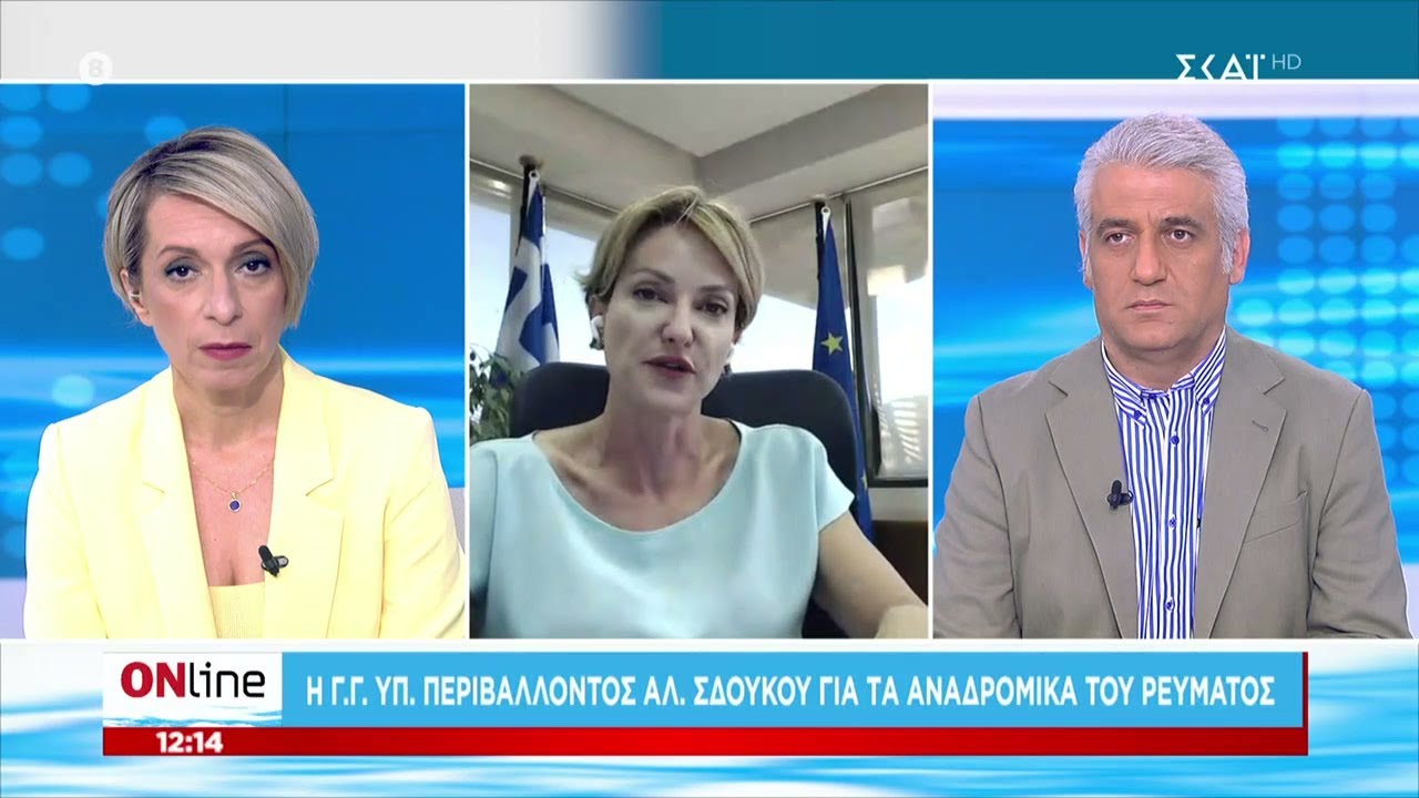 Η Γ.Γ Περιβάλλοντος Αλ. Σδούκου για τα αναδρομικά του ρεύματος | ONline ...