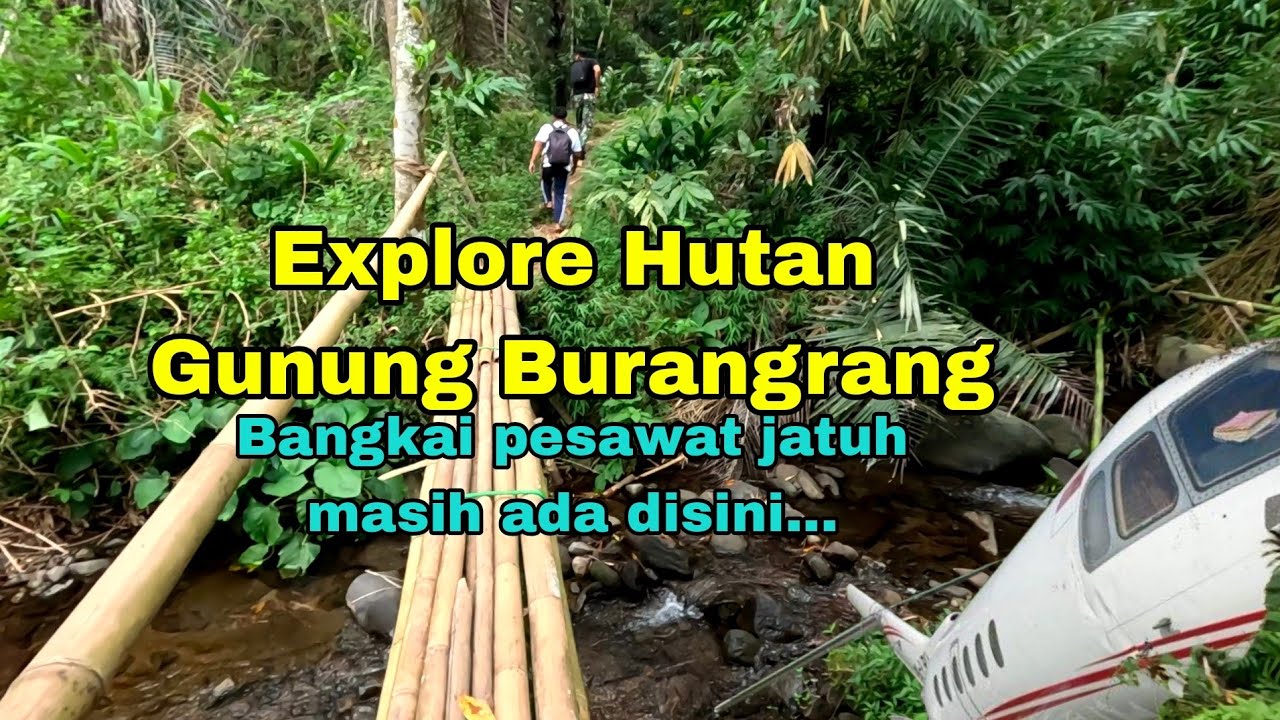 Jelajah Hutan Explore Gunung Burangrang - YouTube