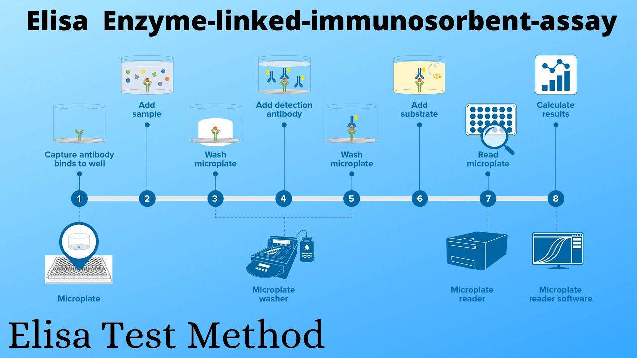Elisa test method Elisa test krne ka treka Elisa enzyme linked ...