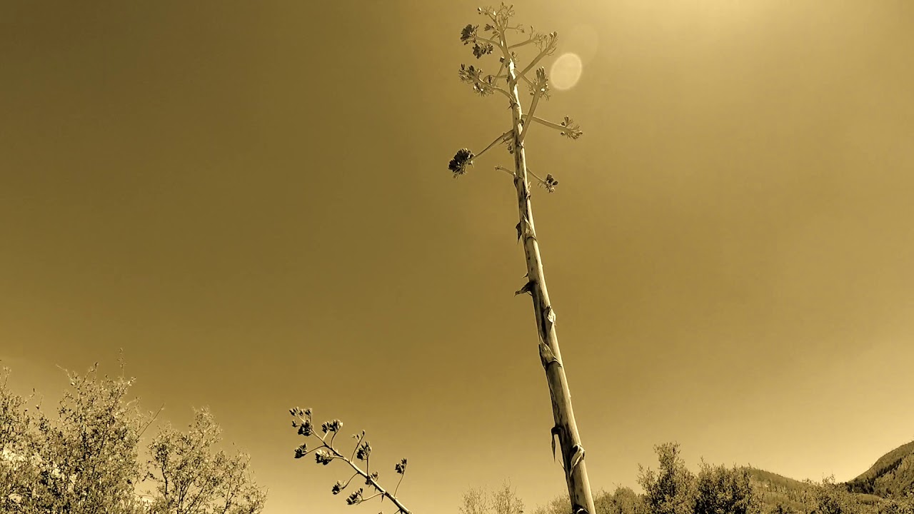 Kurt Snell - Oracle - YouTube