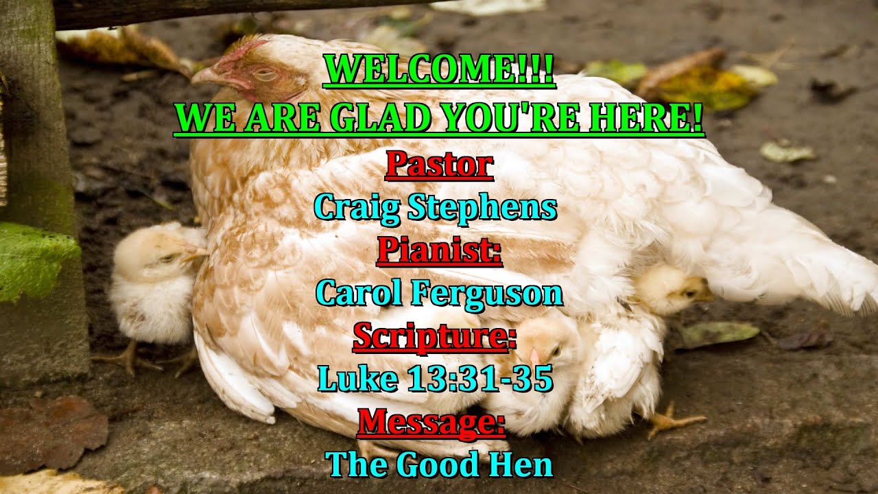 The Good Hen (May 8th, 2022) - YouTube