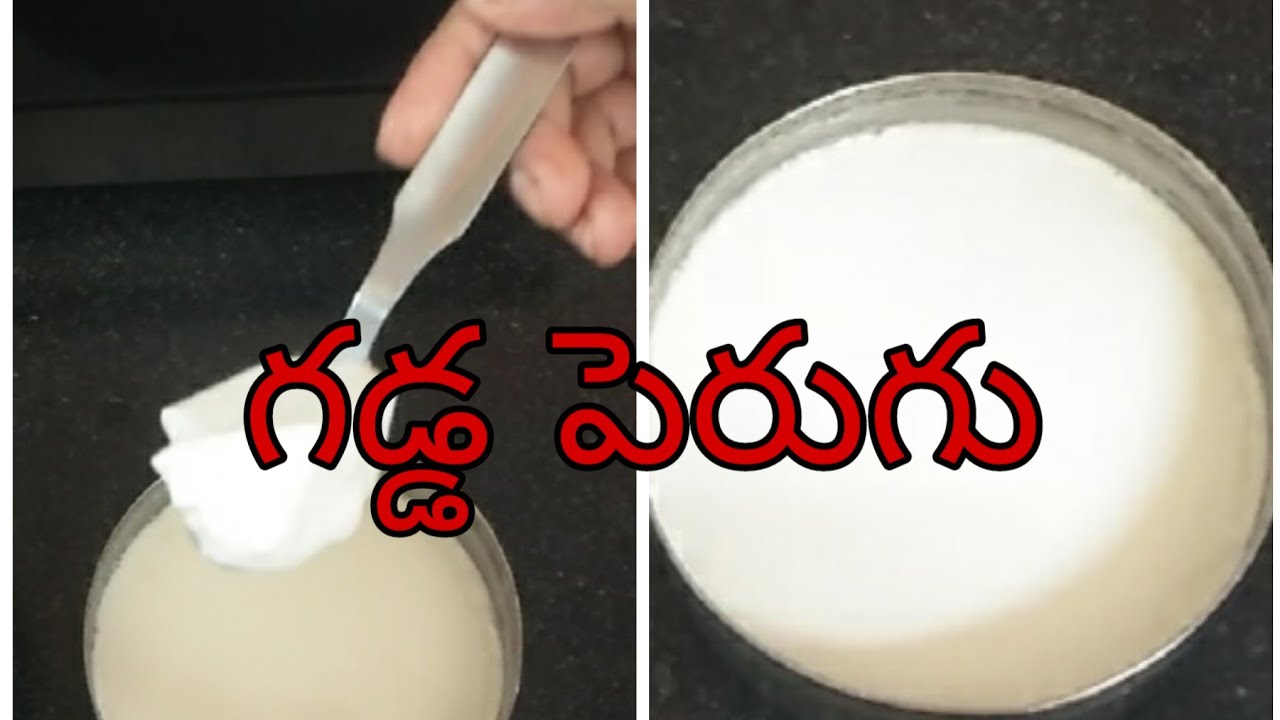 how to prepare curd in Telugu / curd preparation tips - YouTube