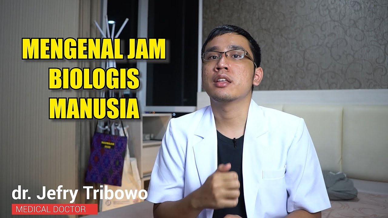 4 JENIS JAM BIOLOGIS MANUSIA - YouTube
