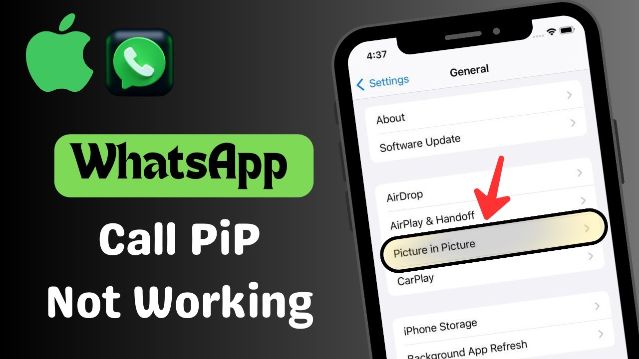 How To Fix WhatsApp Video Call PiP Not Working On iPhone iOS 17 - YouTube