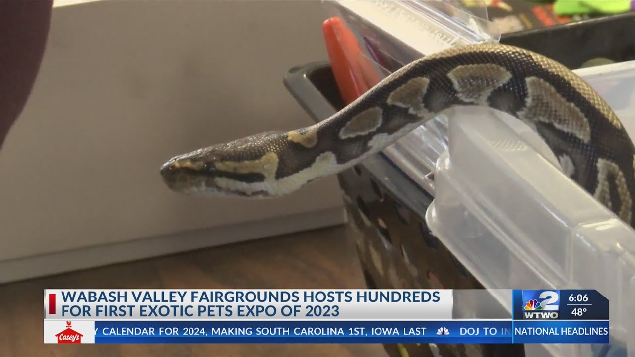 Fairgrounds host first exotic pet expo in 2023 - YouTube