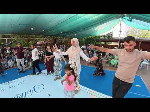 Roman düğünleri Tolga Seda mahmut Volkan sünnet ￼￼