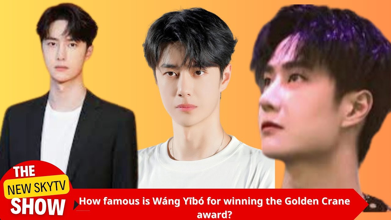 How famous is Wáng Yībó for winning the Golden Crane award? - YouTube