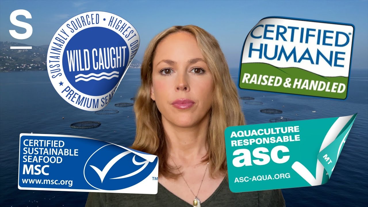 ‘Humane’ and ‘Sustainable’ Fish Labels: Decoded - YouTube