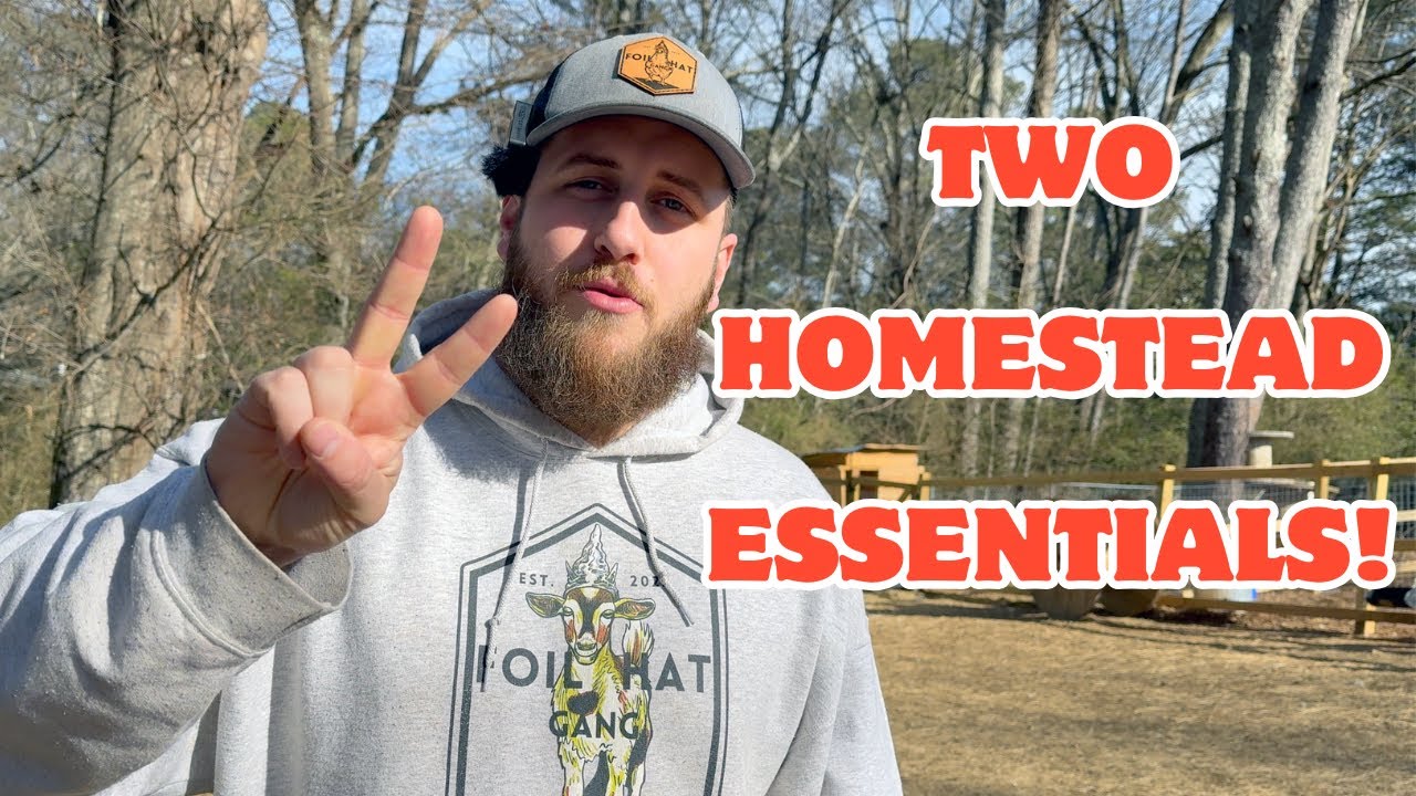 If I Had To Re-Start My Homestead... I'd Start With These 2 Things ...