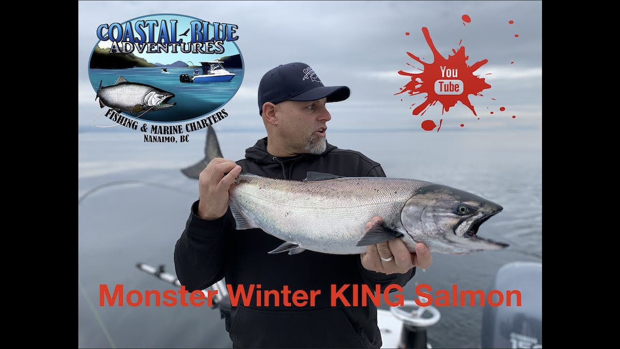 WOW Beauty Winter Springs - Chinook Salmon Fishing Comox BC with ...