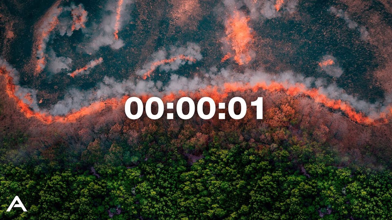 Nature is dying. - YouTube
