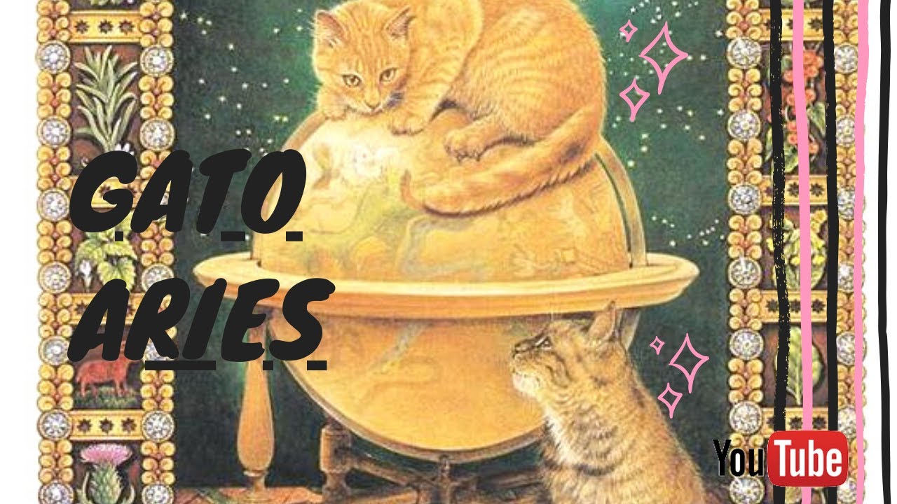 LOS GATOS TIENEN SIGNO ZODIACAL? Gato Aries. - YouTube