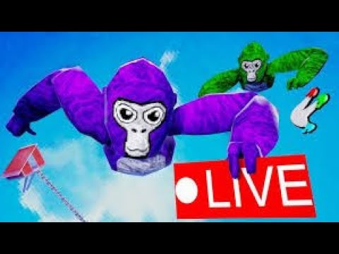 🔴 Monke See, Monke Stream 🦧 | ReRun to 1.6K LIVE! - YouTube