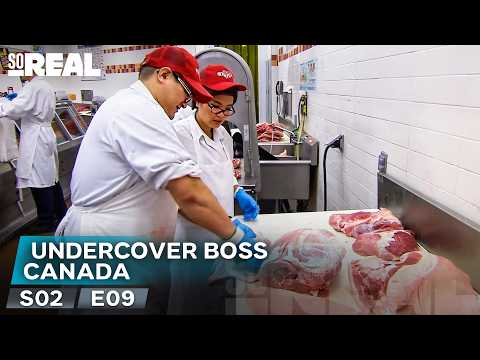 From Boardroom to Seafood Tank | Undercover Boss Canada Season 2 Episode 9
