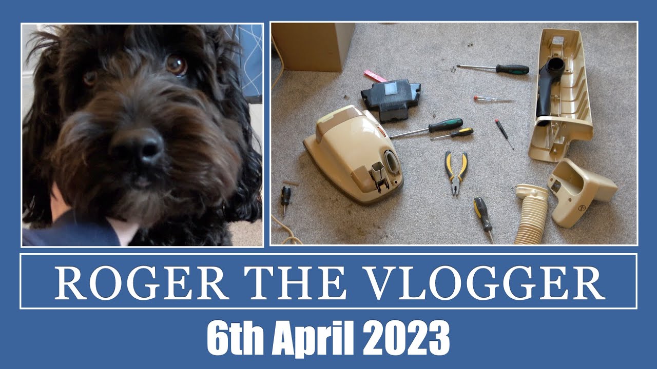 Roger The Vlogger- Part Two Dog sitting & Servicing Vacuums - YouTube
