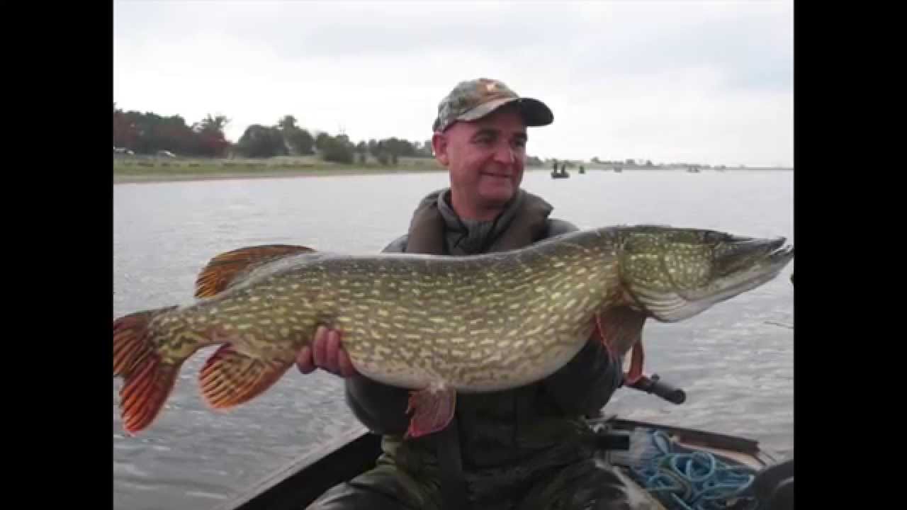 Blithfield Anglers, based at Blithfield Reservoir - one of the UK's ...