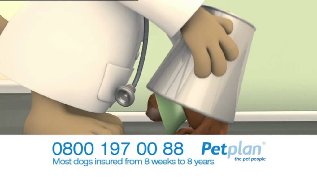 Animated Petplan TV Advert from 2006 - YouTube