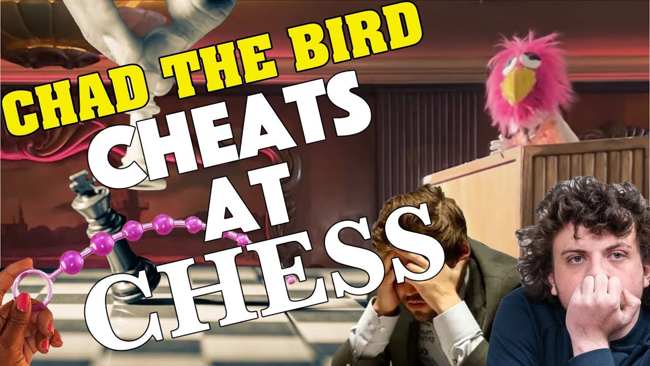 Chad the Bird Cheats at Chess [FULL] 09/07/24 - YouTube