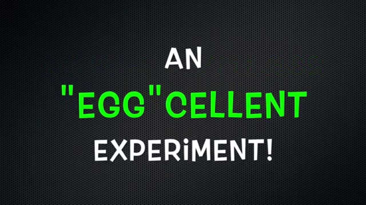 Chem Video: An "Egg"cellent Experiment - YouTube