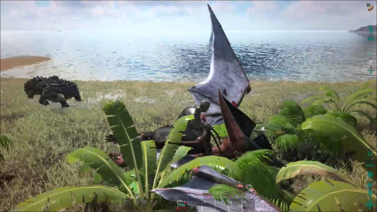 ark survival evolved petite balade a la chitine - YouTube