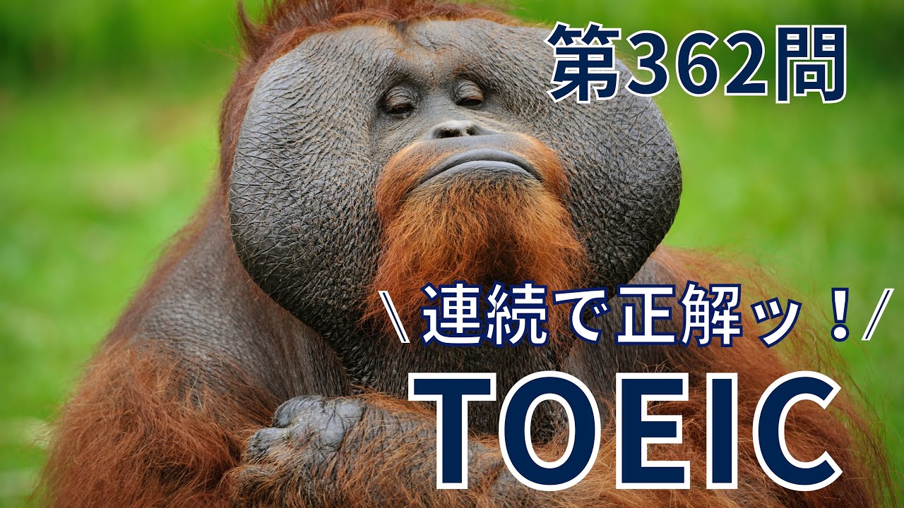 【毎日が有料級！TOEIC対策】「見る1000」第362問 ☞ かなりの増加を 。今回も時制問題。〔①単語→②文法→③音読〕でPart5を完全攻略。 - YouTube