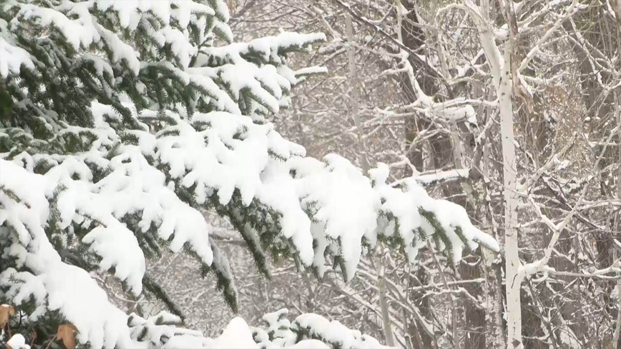 NWS Tells Us How This Winter is Shaping Up in Minnesota | Lakeland News ...