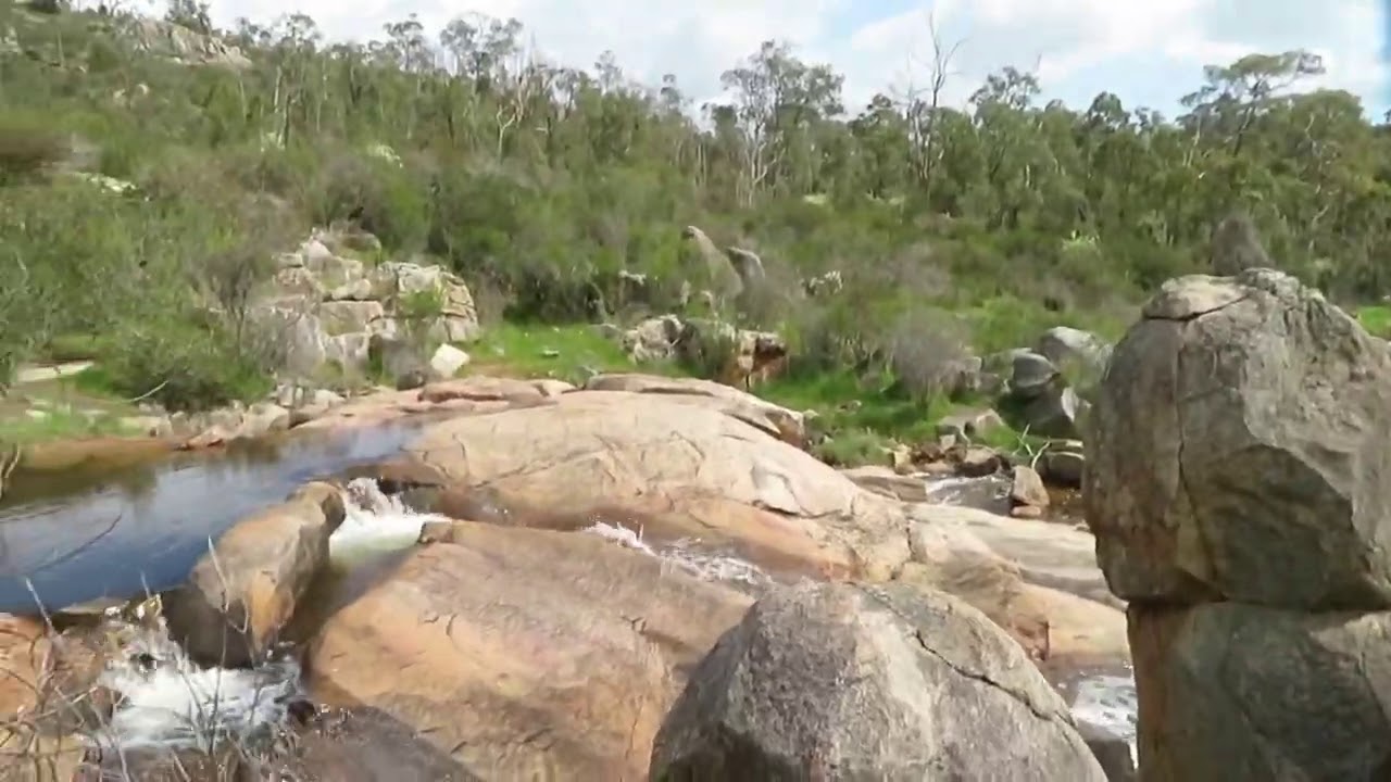 Wandoo Heights Nature Reserve, Millendon. Great spot and track. Nice ...