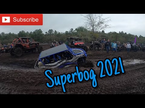Hog waller superbog 2021 part 3 - YouTube