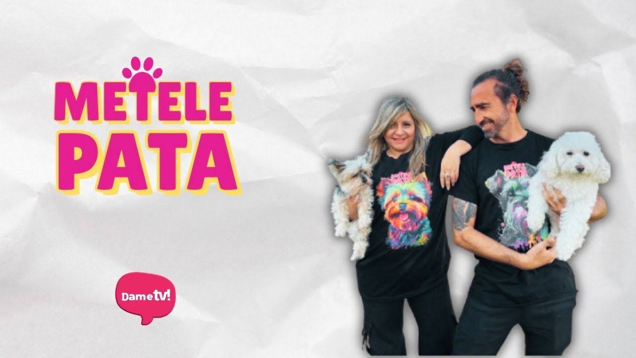 🟢¡METELE PATA!/ DAME TEVE EN VIVO 05/12 - YouTube