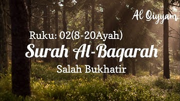 Surah Al Baqarah The Cow 02 Sheikh Salah Bukhatir Beautiful Recitation Khuzaimah
