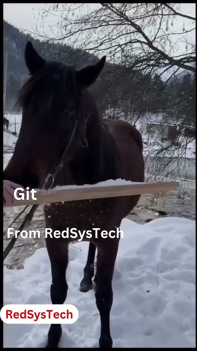 Zero To Hero We Will Help You Redsystech Coding Programming Shorts Memes Youtube