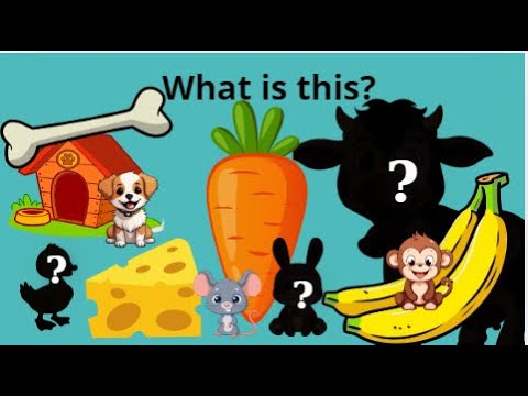 Funny Animal Guessing Game | Based on the identifying characteristics ...
