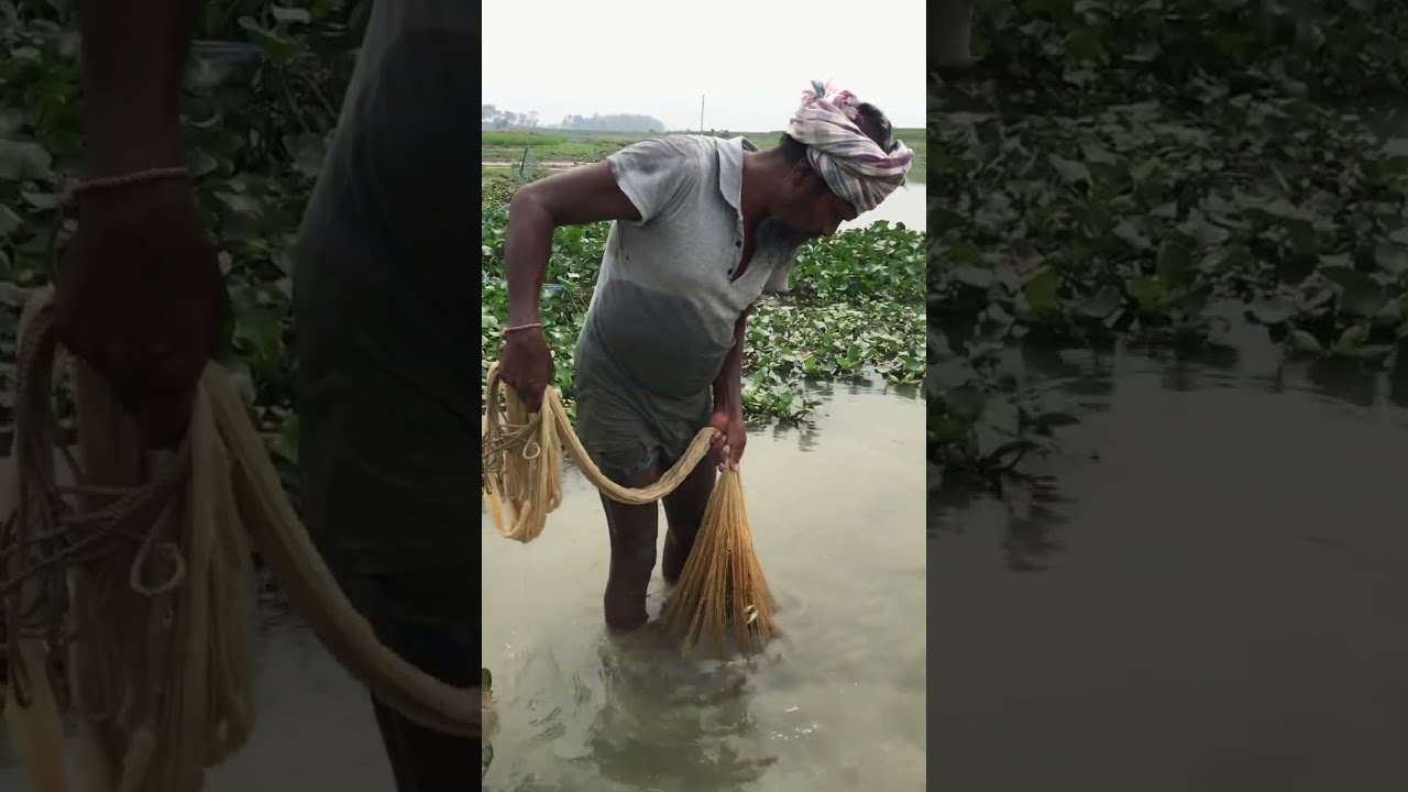 The best adventure fishing life fish boos - YouTube