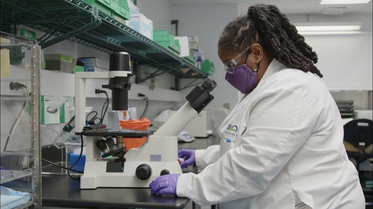 Cell Counting Using The Trypan Blue Exclusion Method Youtube