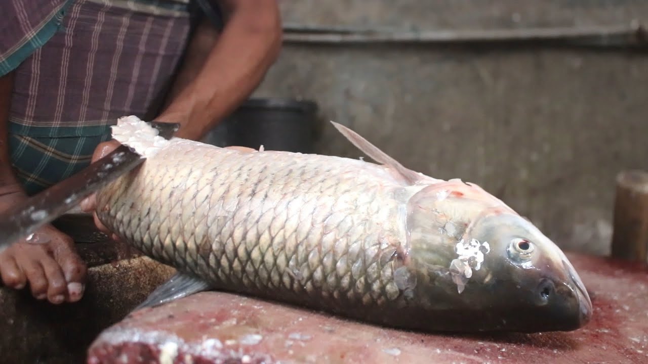 Grass Carp Fish Cutting By A Skillful Fish Cutter | Best Fish Cutting ...