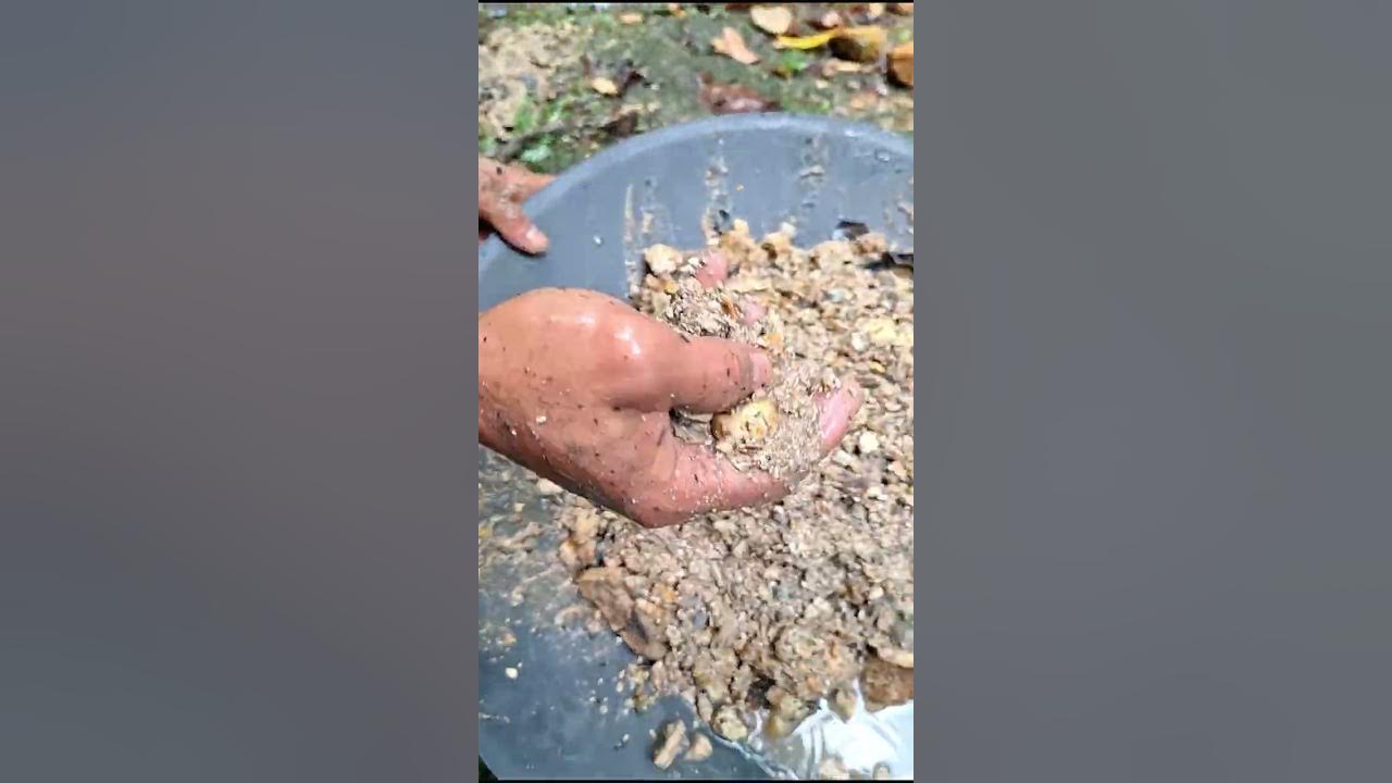 A simple way to find gold in a scary river, with almost no capital.!!! #fyp #golddredging ...
