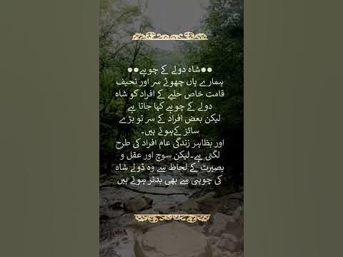 dolay shah ka choha | kund zahan log | #sarmadaliwrites #urduquotes # ...