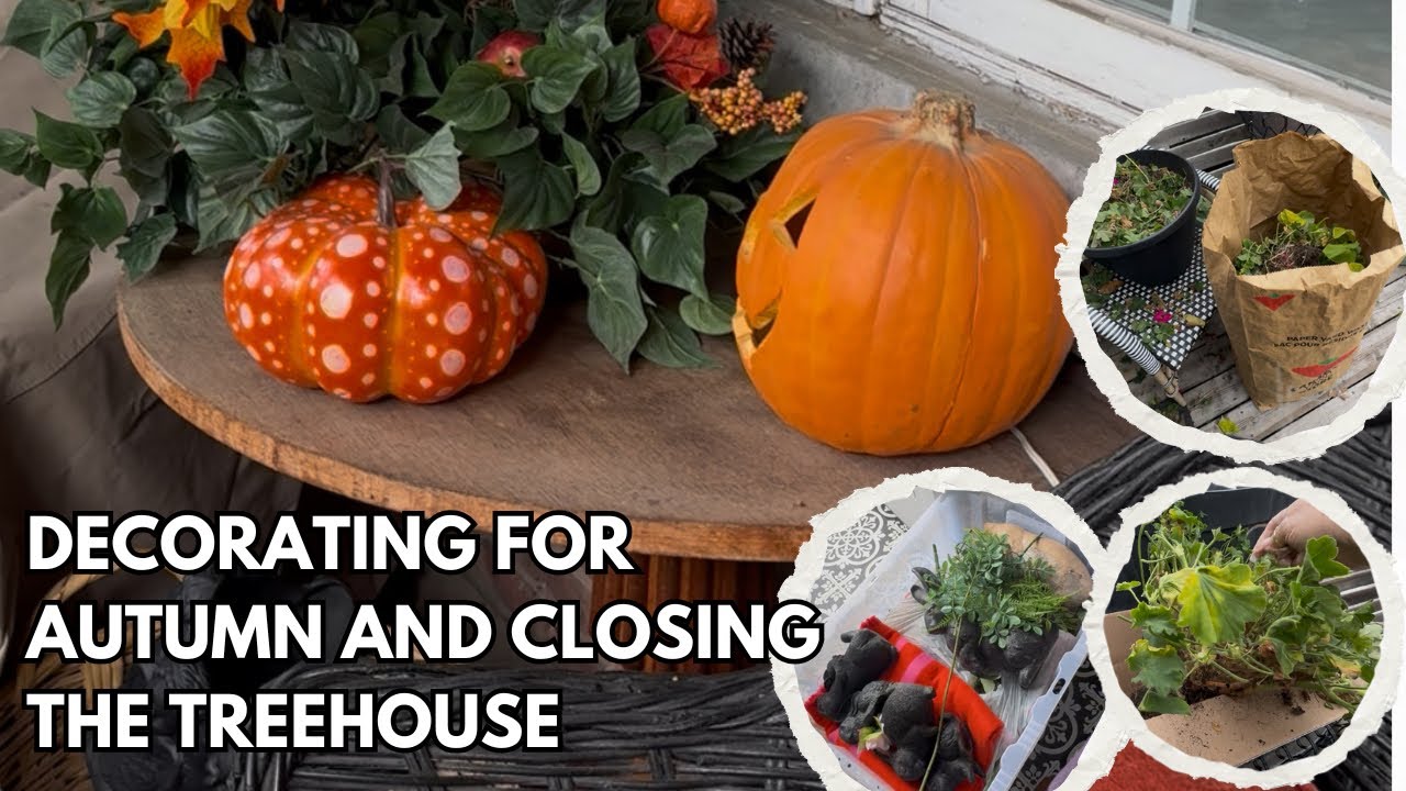 It’s that time of year, 🍂 Starting to cosy up the fall decor 🧡Closing ...