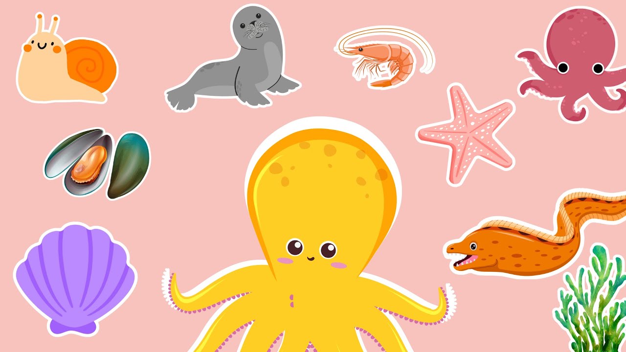 EASY ENGLISH LEARN COLORS and Sea Animals - YouTube