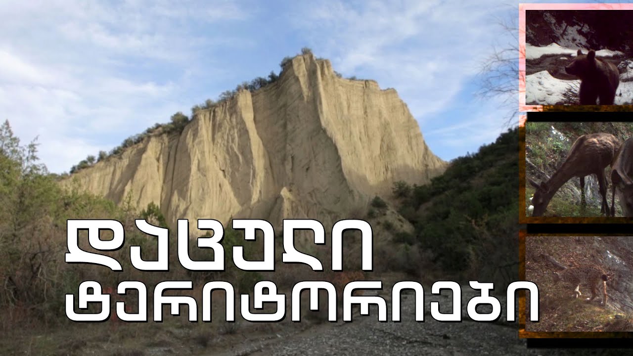 ტელებლოგი „საქართველოს დაცული ტერიტორიები“ Youtube