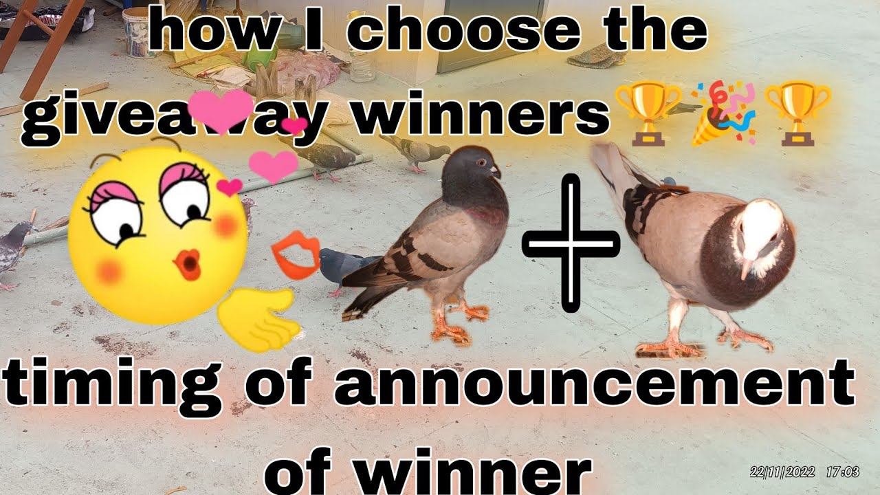 how i choose the winner 🏆🎉🏆and timing of winner announcement 🤩 ...