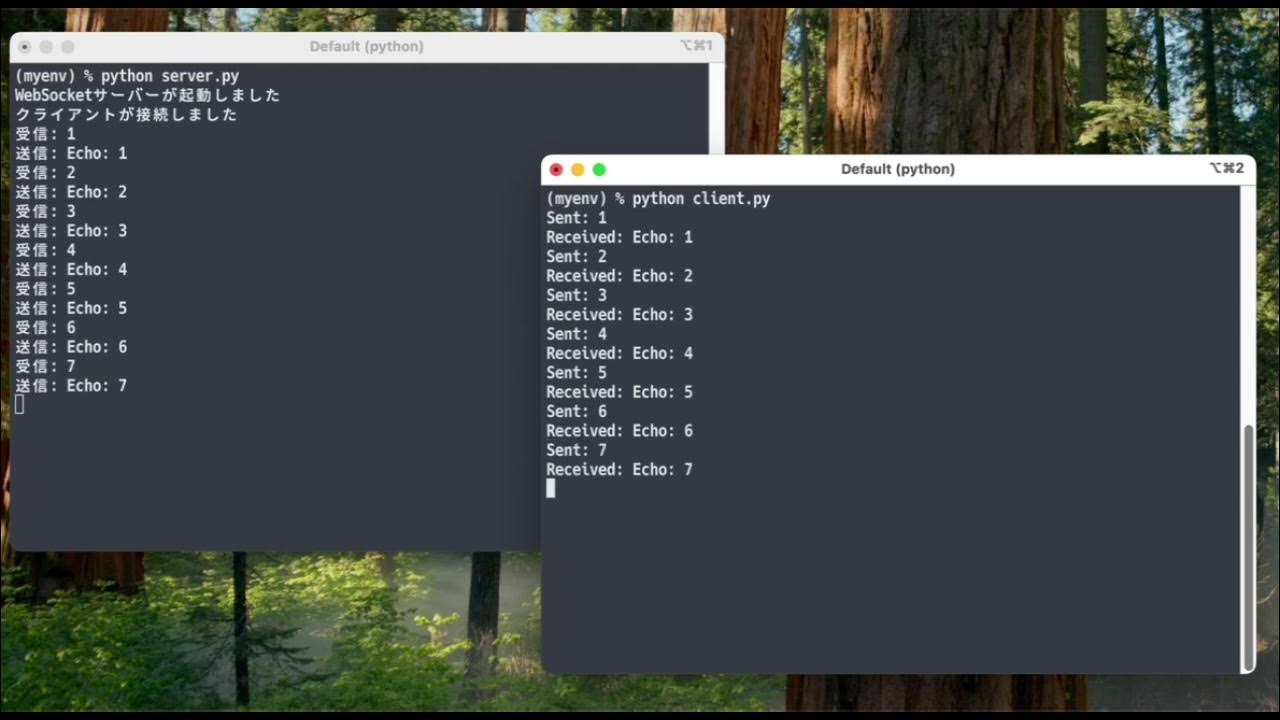 Python で WebSocket - YouTube
