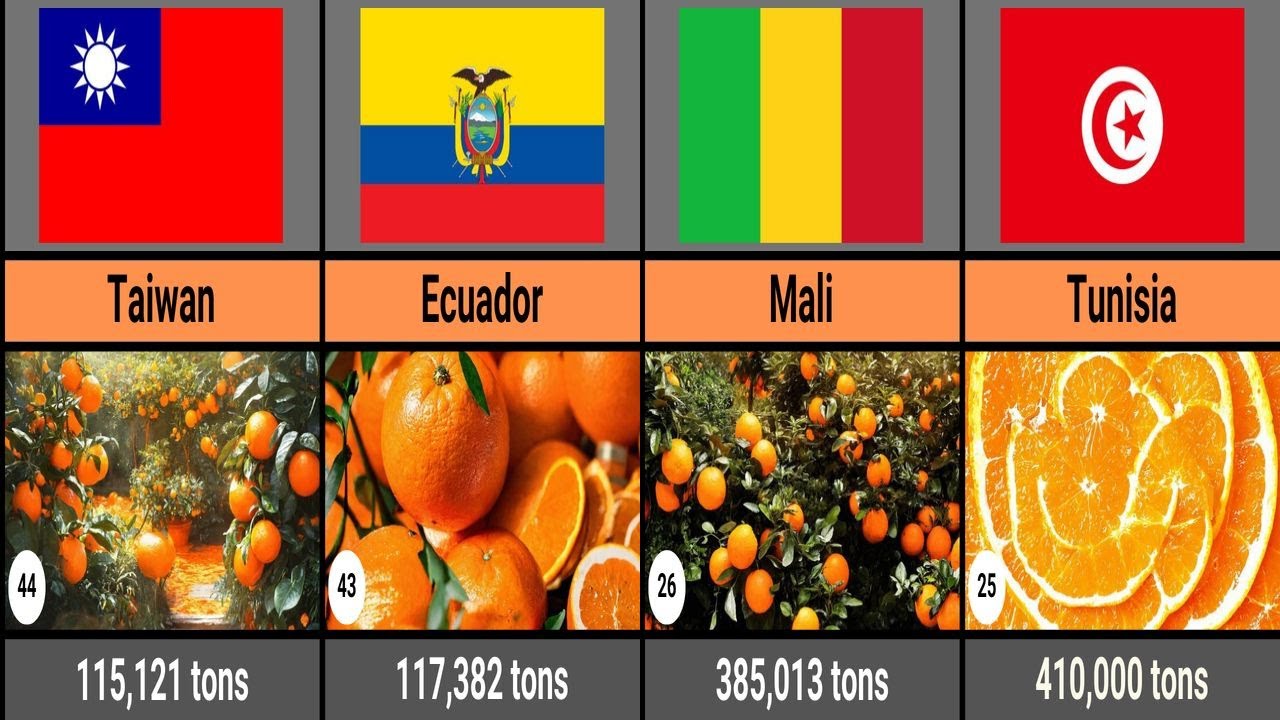 Orange Production of Countries (Top 50) - YouTube